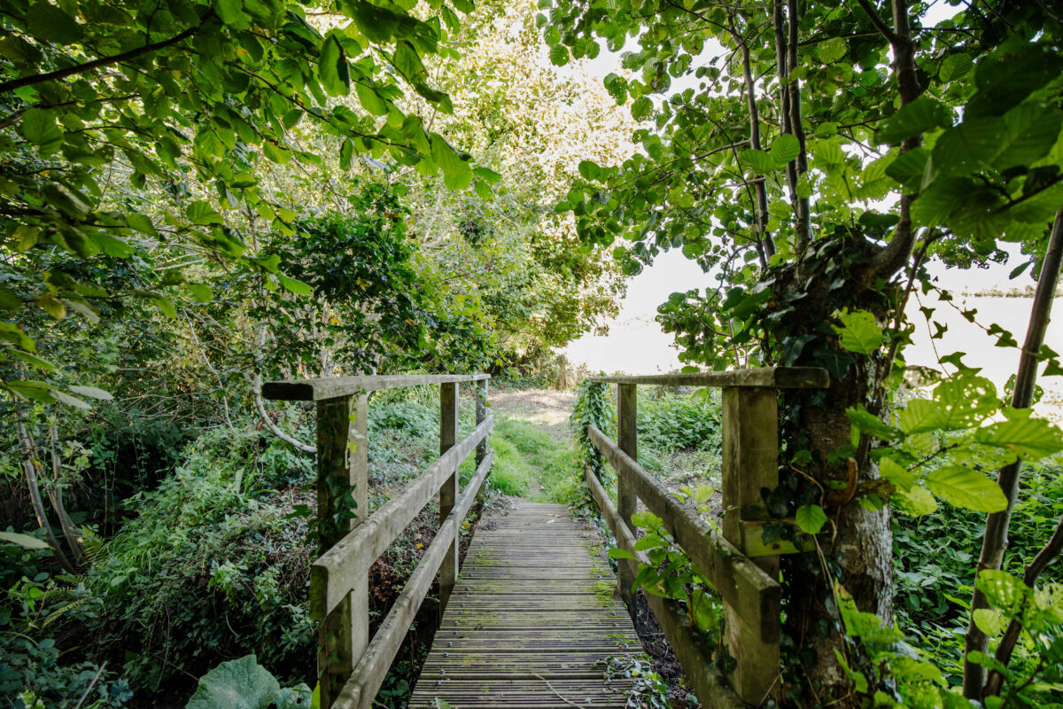 Woodland Walk - Rudge Farm Cottages